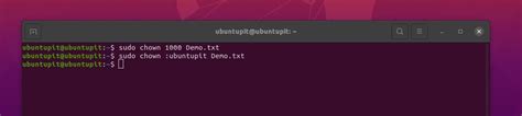 20 Practical Examples Of Chown Command In Linux Artofit