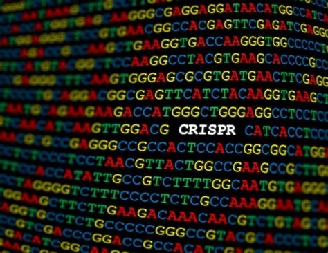 Featured Image For Article
