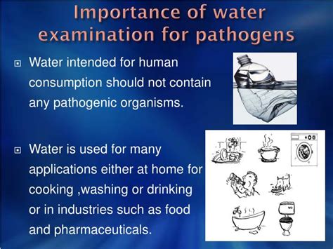 Introduction Of Bacteriological Examination Of Water At Edward Varley Blog