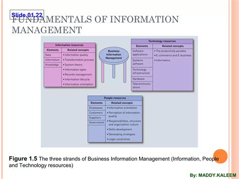 Introduction To Information Management Chapter 1 Ppt Internet Computing