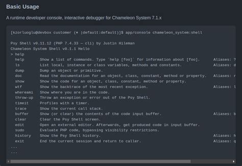 A Runtime Developer Console Interactive Debugger For Chameleon System 7 1 X