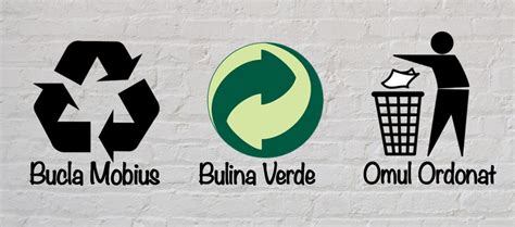 Așa Arată „dex” Ul Celor Mai Frecvente Coduri și Simboluri De Reciclare Brai Cata