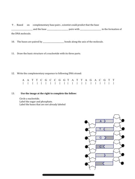 Solved 9 Based On Complementary Base Pairs Scientist Could Chegg Com