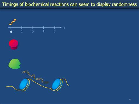 Ppt Dynamic Heterogeneity For The Physical Oncologist Powerpoint