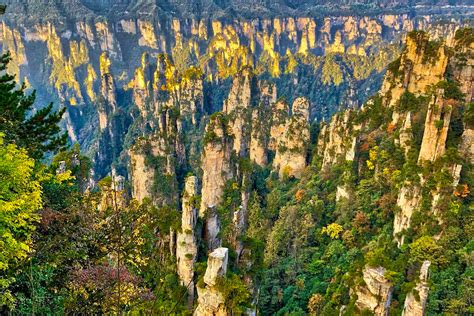 NGHI XƯƠNG TRƯƠNG GIA GIỚI PHƯỢNG HOÀNG CỔ TRẤN Saco Travel