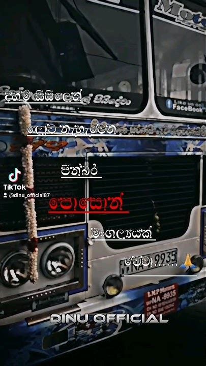 ඔබ සැමට පින්බර පොසොන් පොහොය දිනයක් වෙවා 🙏🍃 ️ Youtube