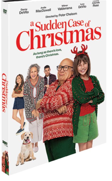 A Sudden Case Of Christmas Subtitles 16 Available Subtitles Opensu