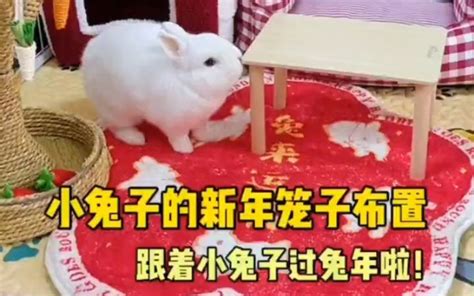 小兔子的兔年装备！给兔兔布置新年小窝！ 一只笨鼠呀 一只笨鼠呀 哔哩哔哩视频