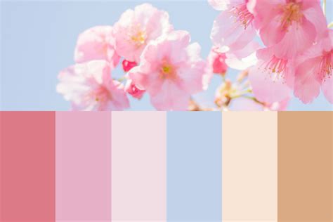 Spring Color Palette Inspiration With Hex Codes Jessie Monday