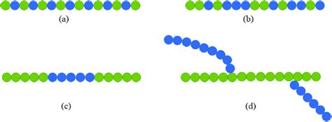 molecules arrangement in copolymer a alternating b random c