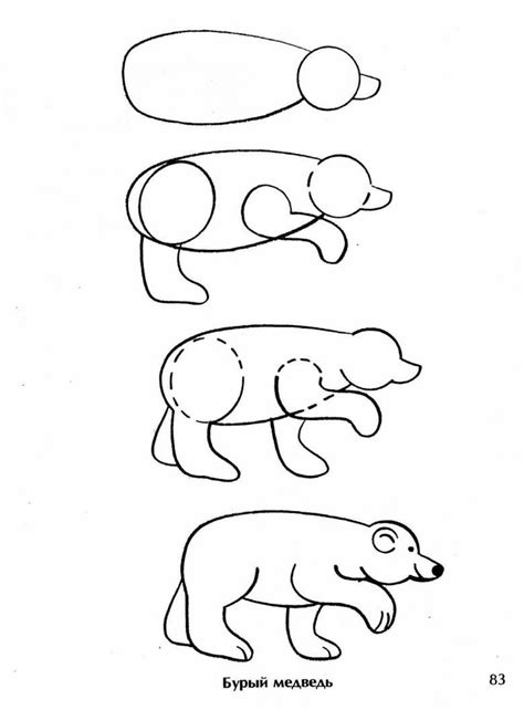 Как рисовать зверей пошагово своими руками легкая инструкция с обзором оригинальных идей