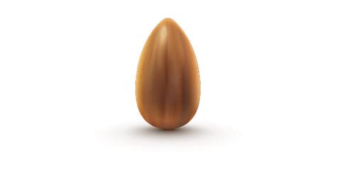 Seed PNG Transparent Images PNG All