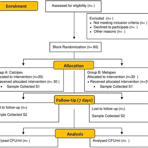 Flow Diagram CFU Colony Forming Unit Download Scientific Diagram