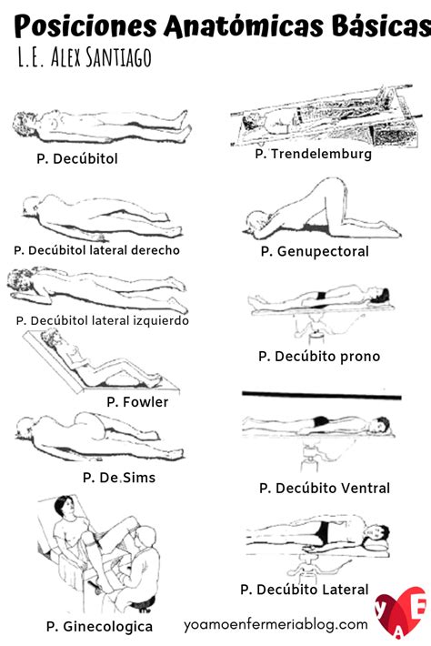 Tipos De Posiciones De Cama Para Pacientes Posiciones Para Estancias