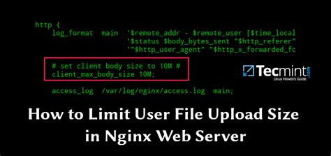 nginx client body size
