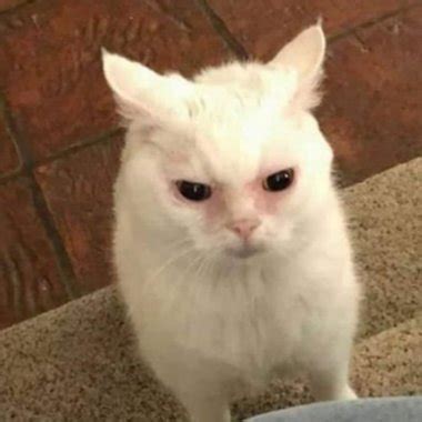 LPSG Com Large Penis Support Group On Twitter When You Get Busted In The Act Https T Co