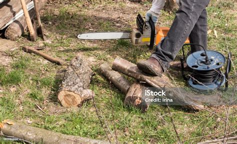 전기 톱을 가진 남자가 정원에서 장작나무를 톱으로 만듭니다 기계류에 대한 스톡 사진 및 기타 이미지 기계류 나무 나무 껍질 Istock