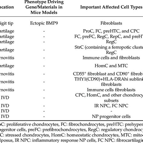 Application Of Single Cell And Spatial Omics In Muscle Or Download
