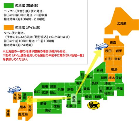 群馬県 での金魚金魚すくい道具の購入販売は金魚屋の息子へ