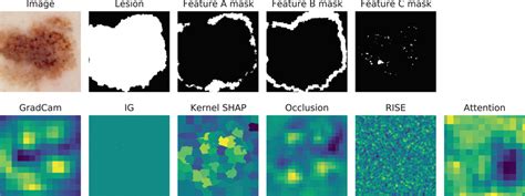 An Example Of The Feature Masks Extracted From The Three Textbook