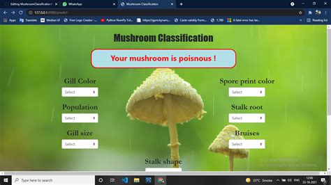 GitHub Kolwankar Siddhiraj MushroomClassificationProjectML Mushroom Classification Using