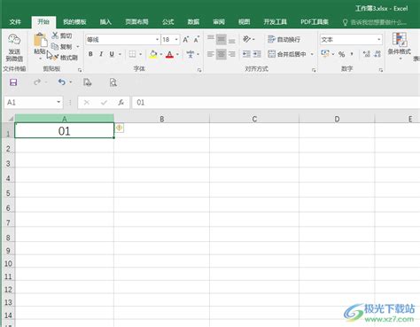 Excel输入01只显示为1怎么办 Excel表格解决输入01变成1的方法教程 极光下载站