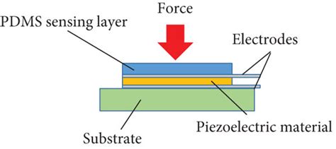 Schematics Of Piezoelectric Force Sensors For Static Force Measurements Download Scientific