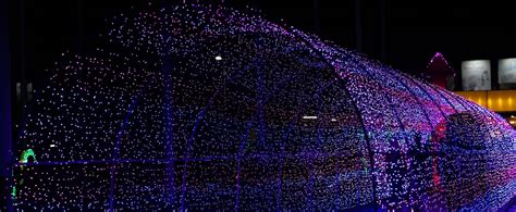 Five Ways To Digitally Transform Your Business By Beedesignc Medium