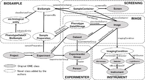 overview of classes and relations extracted in the rdf based ome data