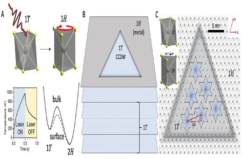laser created laterally confined monolayer heterostructures a