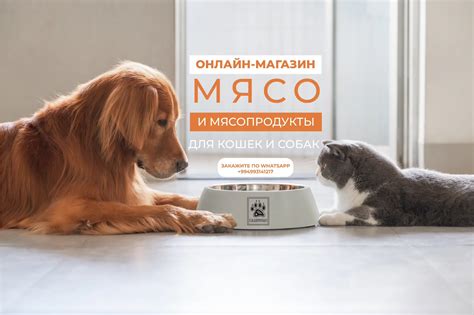 Barf Natural Foods Bulgaria Нашите любимци са достойни членове на