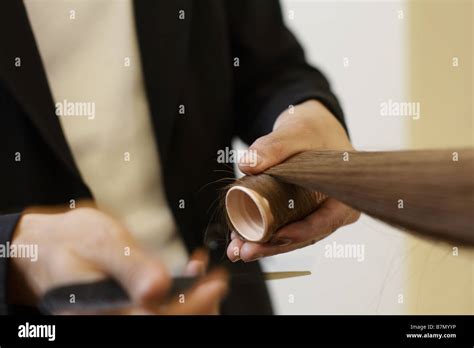 Hairdresser Putting Curlers In Woman S Hair Stock Photo Alamy