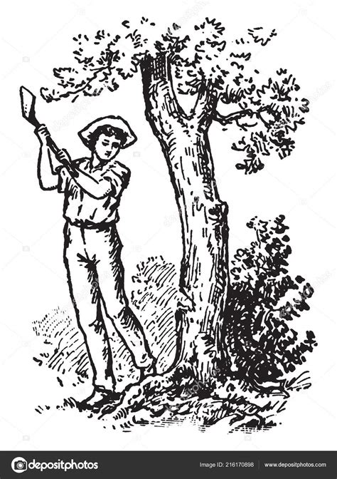Man Cutting Tree Axe Vintage Line Drawing Engraving Illustration Stock