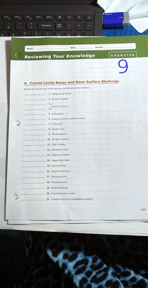 Solved Name Date Section Reviewing Your Knowledge Exercise A Cranial