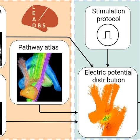 Dataflow For Computing Pathway Activation Based On Patient Imaging And Download Scientific