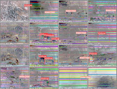 Why Are These Pictures Created Issue Ultralytics Yolov GitHub