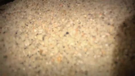 Business Man Vs Bugs