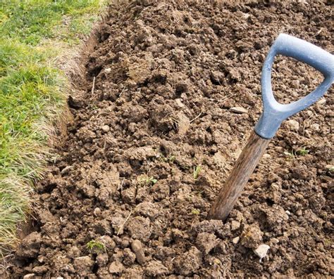 Soil 101 Identifying Your Garden S Soil Type