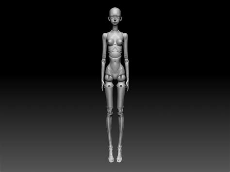 Stl File Bjd Chest 3 Ball Jointed Doll Stl Female Model Rose ♀️ ・model