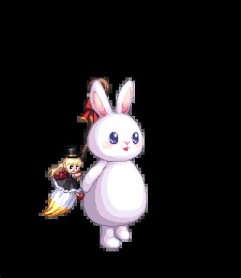 던파커마 마법사 여 103181번 룩