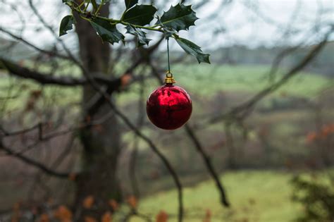 배경 화면 크리스마스 겨울 홀리 값싼 물건 5472x3648 1113761 배경 화면 Wallhere