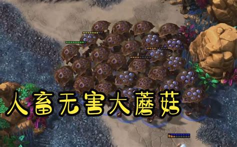好久没有给韩国玩家带来阳光和笑容了 索然无味大刺蛇 索然无味大刺蛇 哔哩哔哩视频