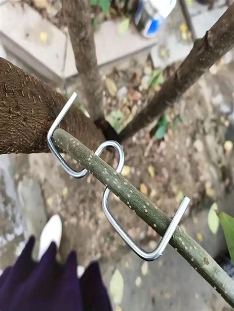 مجموعة قوسي فروع شجر الفاكهة، أدوات خالية من الطاقة لتشكيل ورفع أفرع