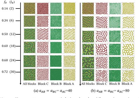 Figure 1 From Dissipative Particle Dynamics Simulation For The Self Assembly Of Symmetric