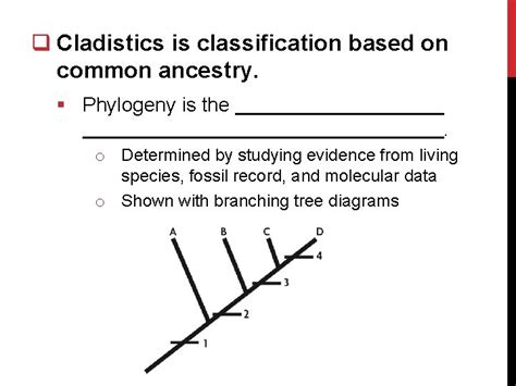 Classification 5 5 1 Outline The Binomial System