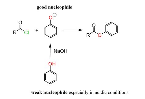 Fischer Esterification Chemistry Steps