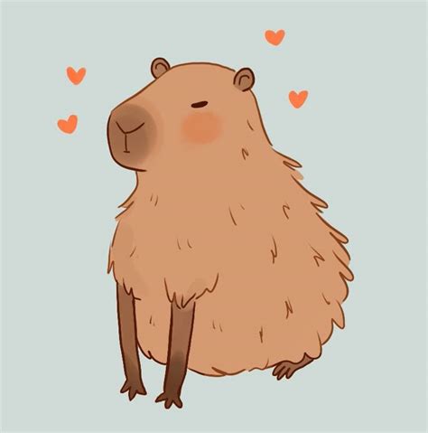 Cute Capybara Illustration Cartoon Style