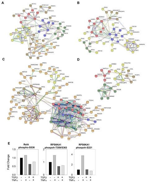 String Analysis Of Differentially Expression Protein Kinases And
