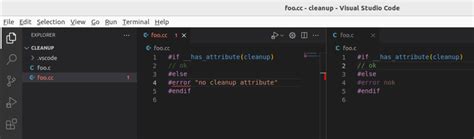 Cleanup Attribute Only Works In C Not In C · Issue 10267