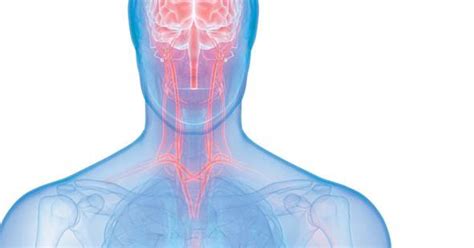 건강한 가족 장은 제2의 뇌치매·뇌 질환 막으려면 장 건강도 챙겨야죠